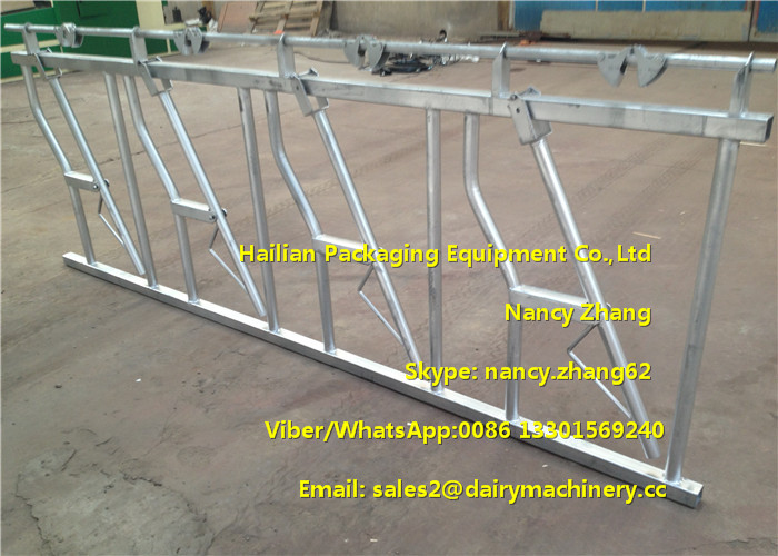 3mm Thickness Dairy Farms Cattle Headlock For Cows With 4 Dairy Cows ...